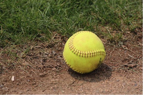 USA Softball Announces Head Coaches for Men’s National Team Program ...