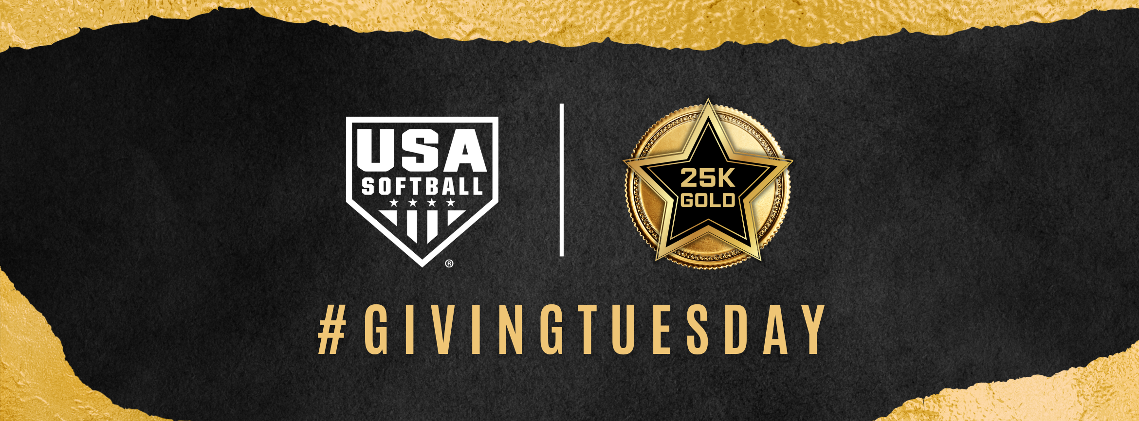 25K Gold Fund - USA Softball